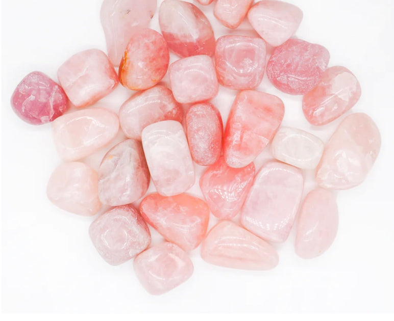 Foxy Naturel – Foxy Brands